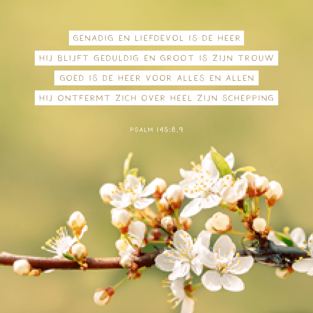 Genadig en liefdevol is de Heer - Lifeprints